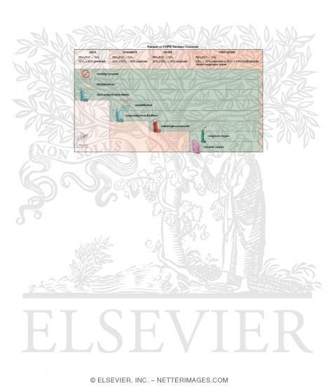 Summary of COPD Treatment Guidelines