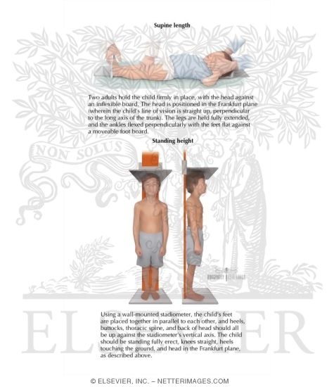 Proper Measurement Techniques