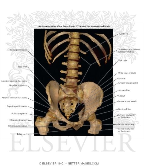 Bony Framework (CT 3D Reconstruction)