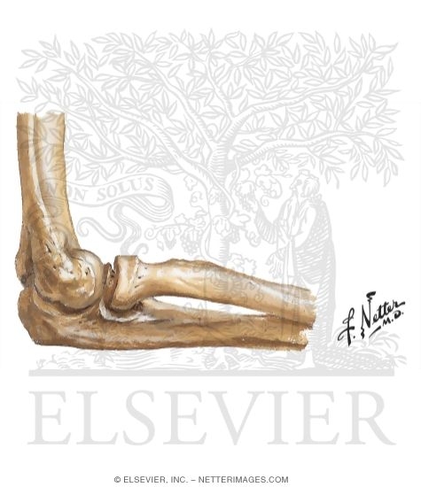 90 degrees lateral position