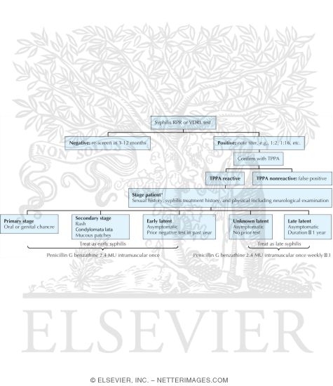 Summary Of Syphilis Diagnosis and Management