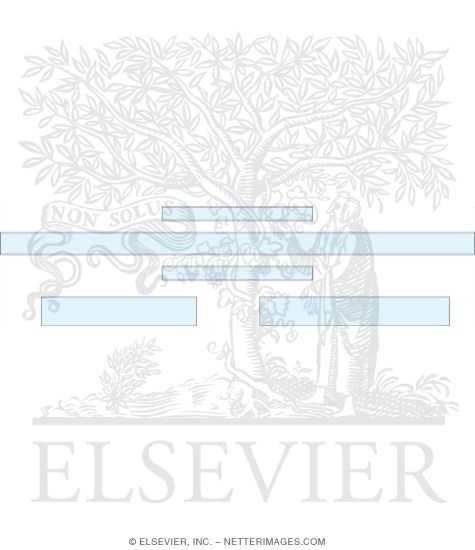 Algorithm for Rabies