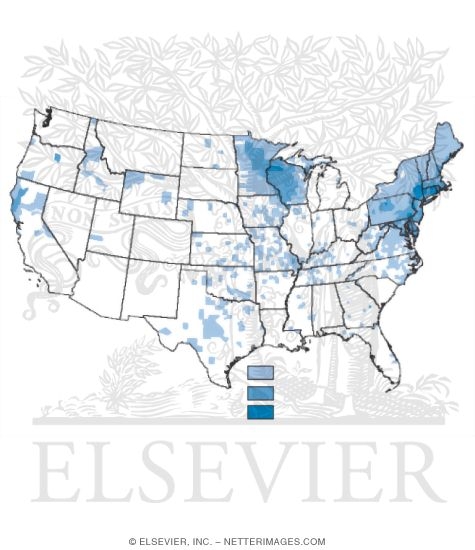 Tick Distribution In the United States