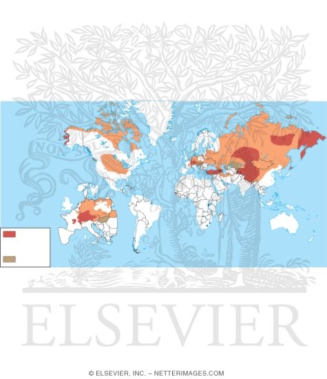 Global Geographic Distribution of Alveolar Echinococcosis