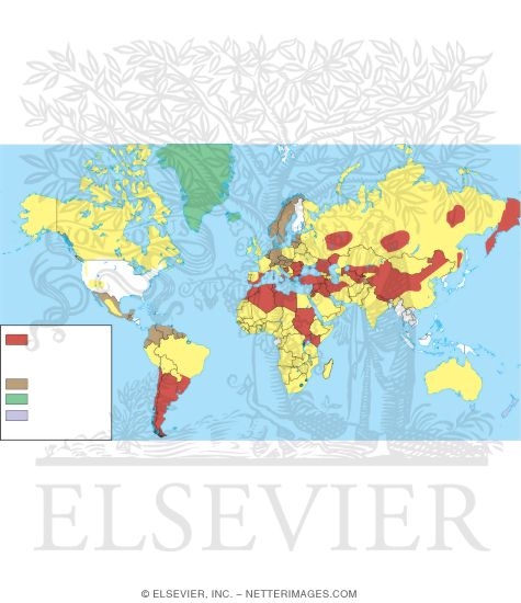 Approximate Geographic Distribution of Echinococcus Granulosus (1999)