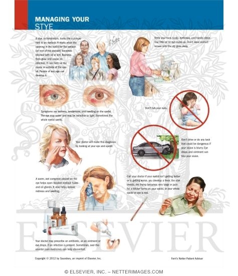 Managing Your Sty