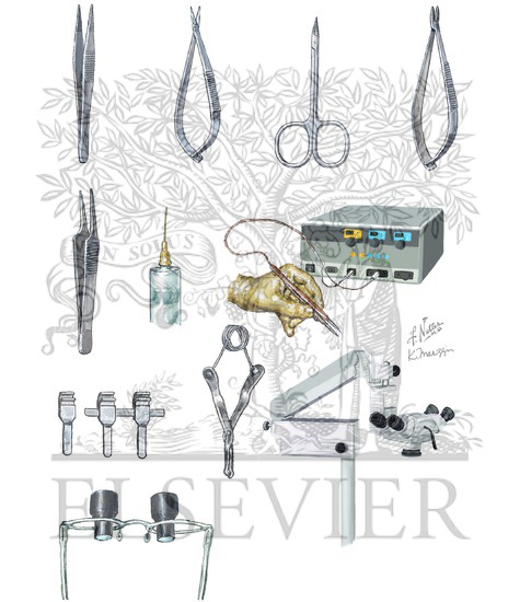 Microsurgical Instrumentation for Replantation