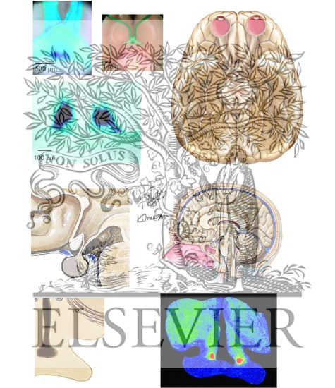 Visual Inputs to the Hypothalamus