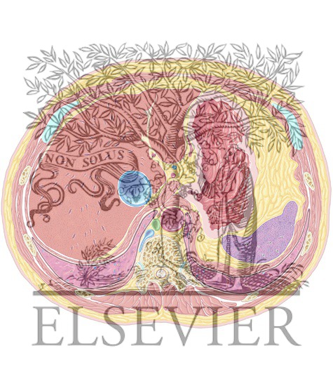 Cisterna Chyli/Thoracic Duct Axial 1