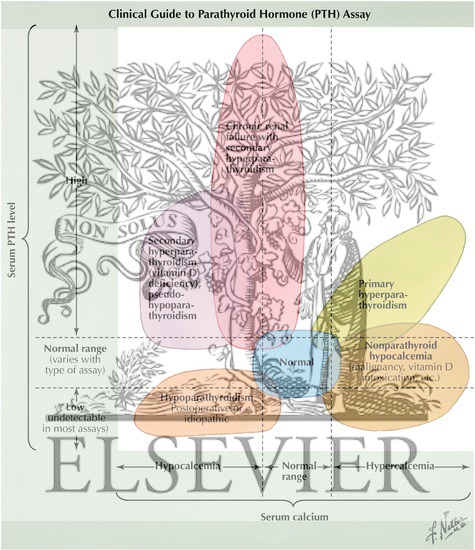 Clinical Guide to Parathryoid Hormone (PTH) Assay