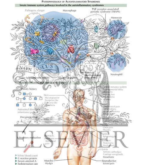 Autoinflammatory Syndromes