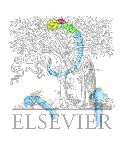 Early Brain Development: The 28-Day-Old Embryo