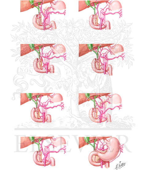 Blood Supply of Small Intestine