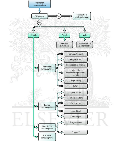 One of many possible decision tree approaches to the choice of ...