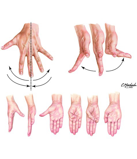 Thumb movements Thumb movements