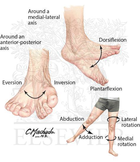 Foot movements Foot movements