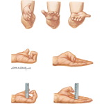 Physical Examination: Elbow, Wrist, and Hand