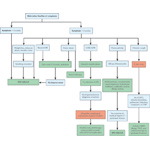 Treatment Algorithm for Hoarseness