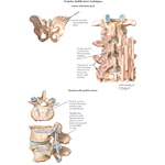 Posterior Stabilization Techniques