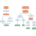 Approach to the Differential Diagnosis of Primary and Secondary ...