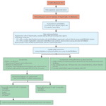 Long-term Management of Persistent Atrial Fibrillation
