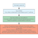 Diagnostic Algorithm for Bacterial Meningitis