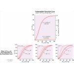 Oxyhemoglobin Dissociation Curves