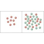 Orthopaedic Clinical Examination: 100% Specificity