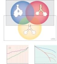 COPD: Clinical Types and Natural History