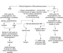 Diagnostic Approach to the Patient With Suspected Pheochromocytoma