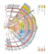 Influence of Gonadal Hormones on the Female Reproductive Cycle From ...