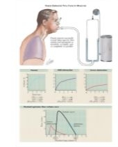 Forced Expiratory Vital Capacity Maneuver