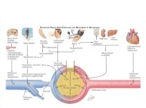 Pulmonary Edema; Some Etiologies and Hypotheses of Mechanisms