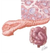 Common Gastrointestinal Pathology In Cystic Fibrosis