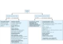 Diagnostic Approach to Anemia