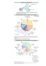 Genetics of Acute Lymphoblastic Leukemia and Acute Myelogenous Leukemia