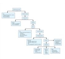 Differential Diagnosis of Neonatal Anemia