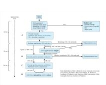 Overview of Neonatal Resuscitation