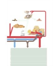 Cushing's Syndrome: Pathophysiology (Continued)