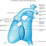 Radiology and Angiocardiography