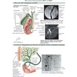 Invasive Imaging Modalities and Minimally Invasive Interventions of the ...
