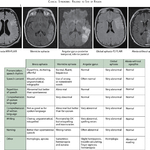 Dominant Hemisphere Language Dysfunction