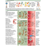 Treatment of Hyperlipidemia